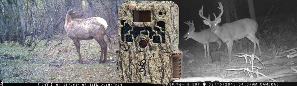 Best Game Camera Reviews - Consumer Files