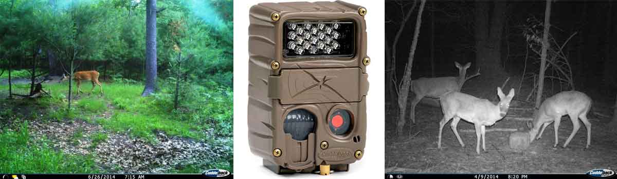 Best Game Camera Reviews - Consumer Files